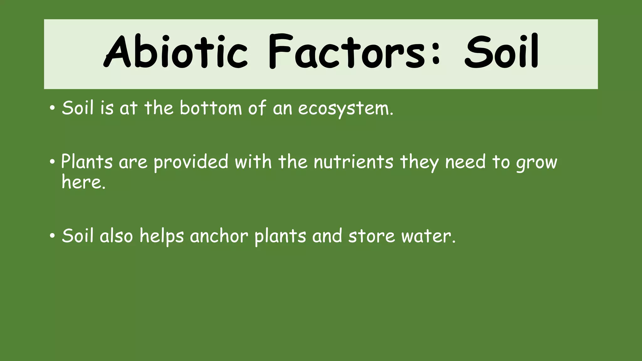 Ecosystems Module 1: Abiotic & Biotic Factors | PPTX