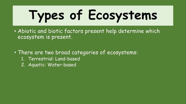 Ecosystems Module 1: Abiotic & Biotic Factors | PPTX