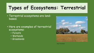 Ecosystems Module 1: Abiotic & Biotic Factors | PPTX