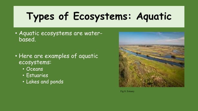 Ecosystems Module 1: Abiotic & Biotic Factors | PPTX