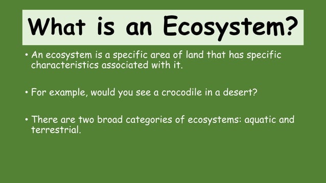 Ecosystems Module 1: Abiotic & Biotic Factors | PPTX