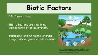 Ecosystems Module 1: Abiotic & Biotic Factors | PPTX