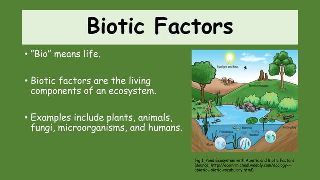 Ecosystems Module 1: Abiotic & Biotic Factors | PPT