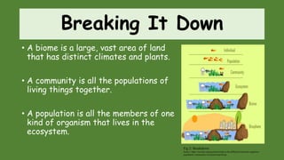 Ecosystems Module 1: Abiotic & Biotic Factors | PPTX