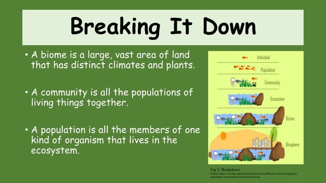 Ecosystems Module 1: Abiotic & Biotic Factors | PPT