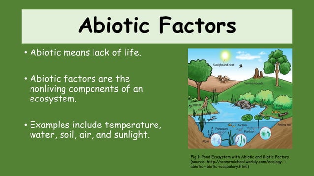 Ecosystems Module 1: Abiotic & Biotic Factors | PPTX
