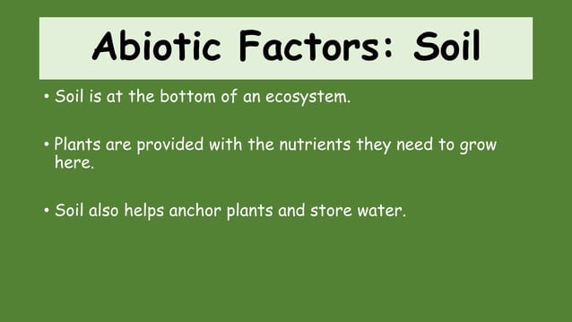 Ecosystems Module 1: Abiotic & Biotic Factors | PPT