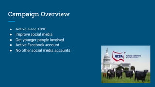 Online Reputation Management Campaign.pdf