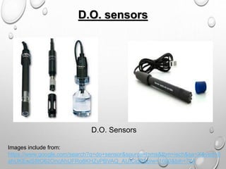 Online sensors for the water and wastewater treatment | PPTX