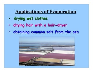 Online Separation Techniques | PDF