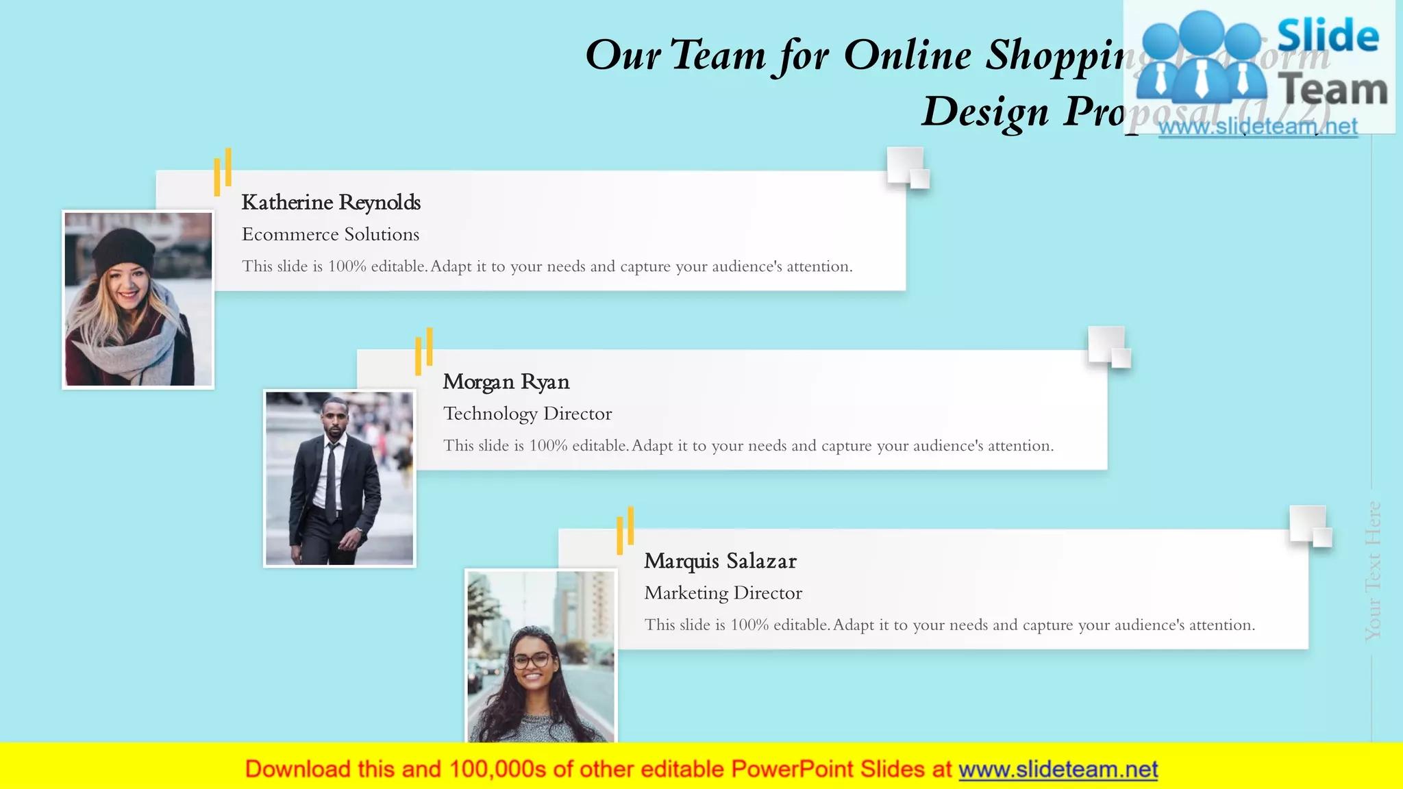 Online Shopping Platform Design Proposal Powerpoint Presentation Slides Ppt