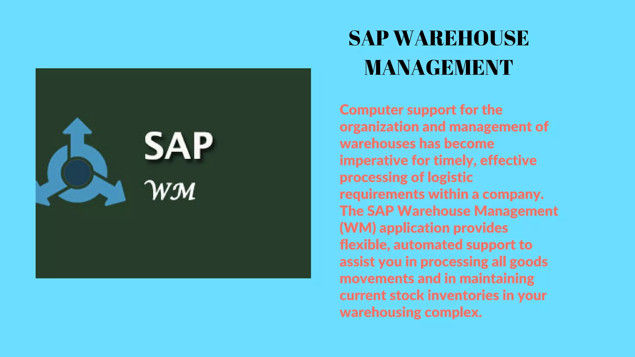 SAP WM Online training | PDF