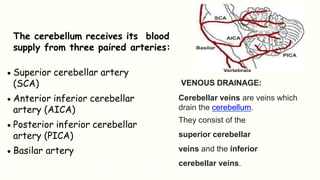 ONLY CEREBELLUM.pptx FOR NURSING STUDENTS | PPTX