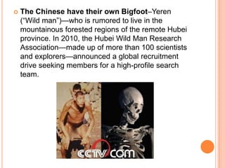 Only in china | PPTX | Asia Travel | Travel Locations