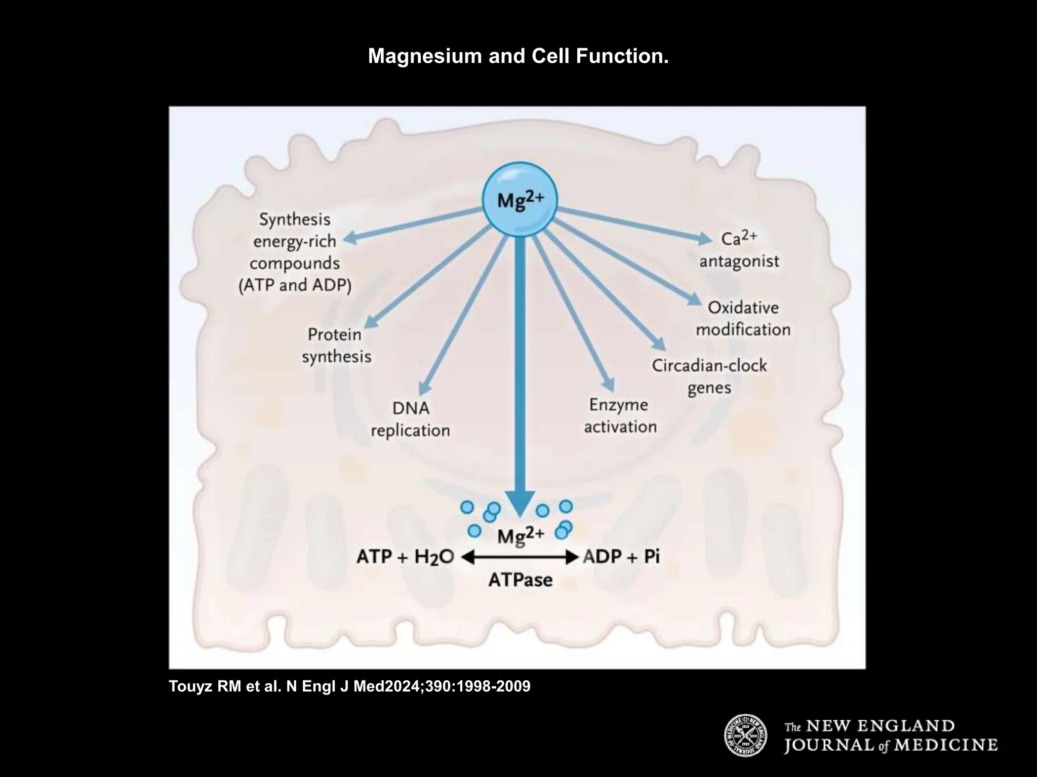 On Magnesium disorders-Circulation and Analysis.pptx