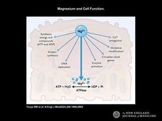 On Magnesium disorders-Circulation and Analysis.pptx