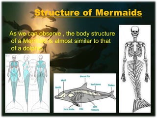 On mermaids (1) | PPTX