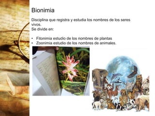 Onomastica.pptx