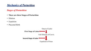 Onset and Endocrine control of Parturitions.pptx