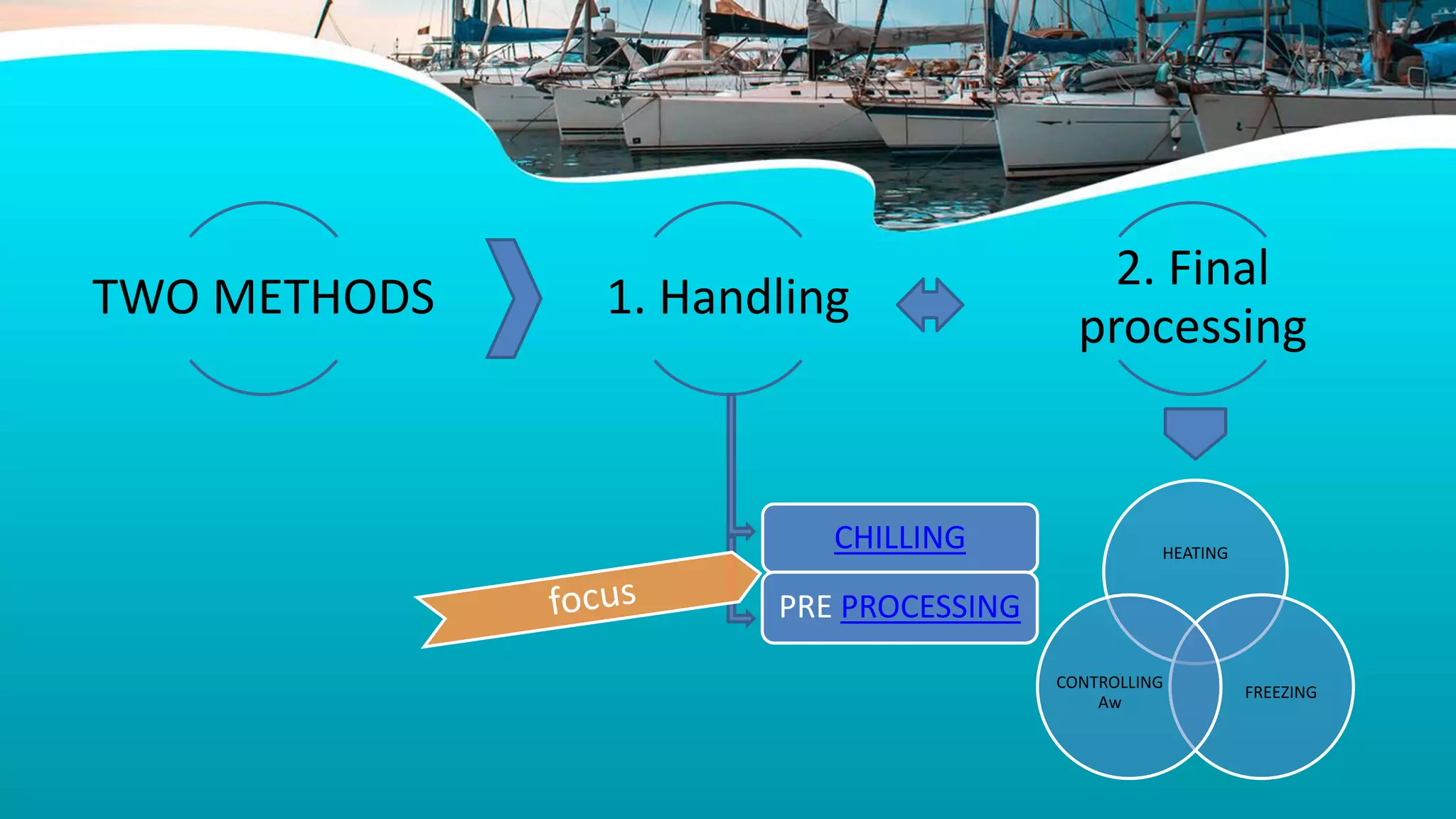 Onshore fish processing | PPTX