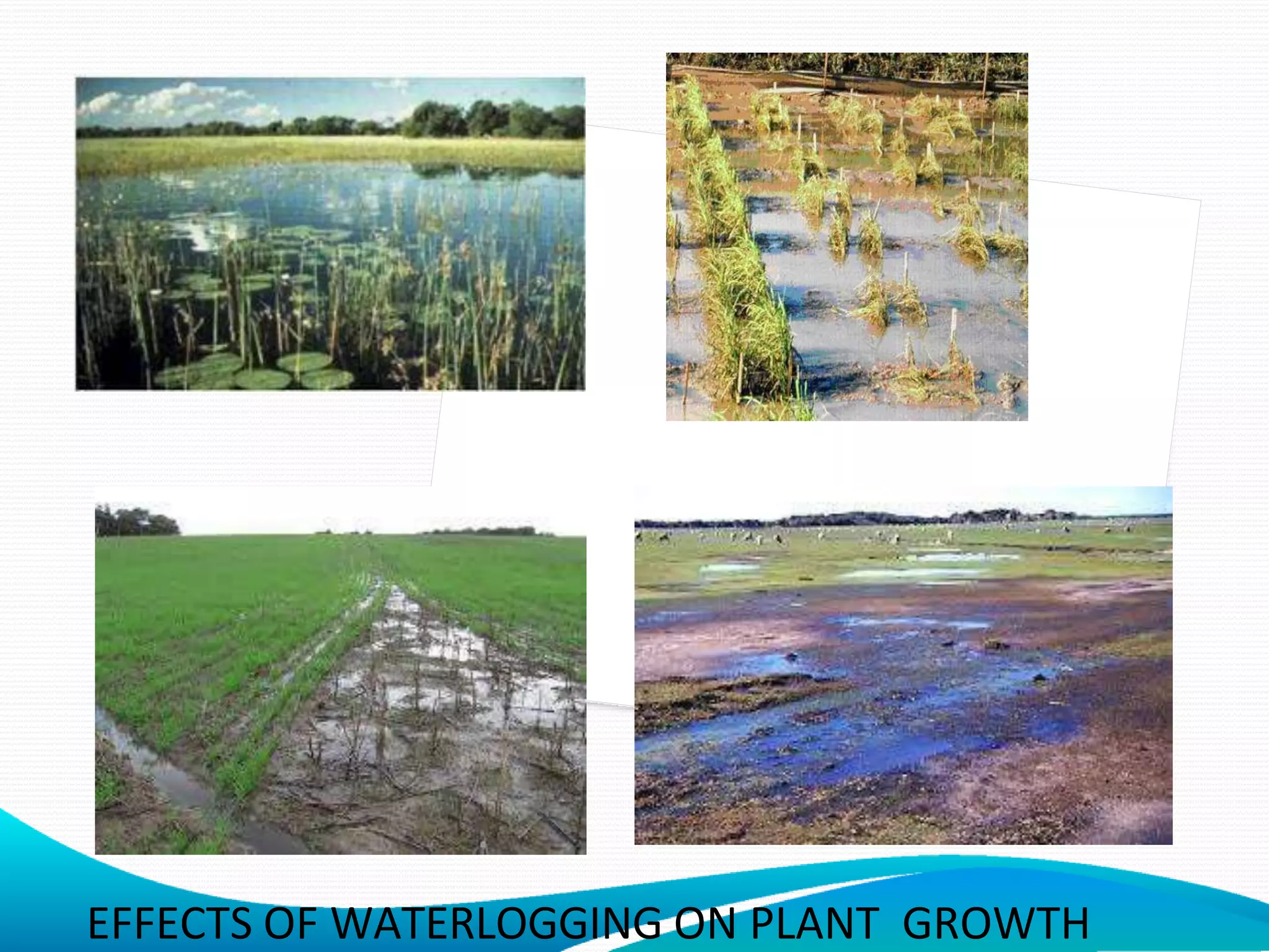 Waterlogging Types & Causes of Waterlogging Effects & its control ...