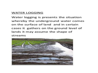 Waterlogging Types & Causes of Waterlogging Effects & its control ...