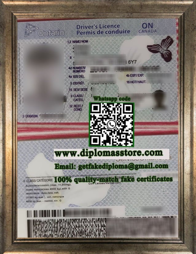 Ontario driver licence, make Ontario DL card | PDF