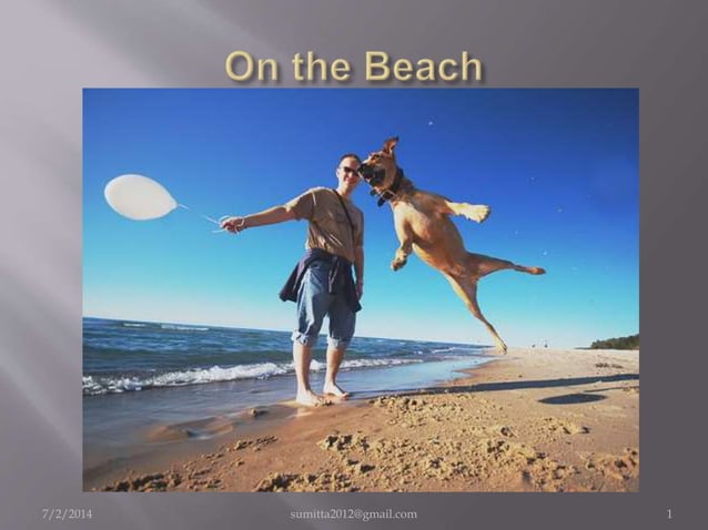 On the beach by Anne Ranasinghe | PPTX