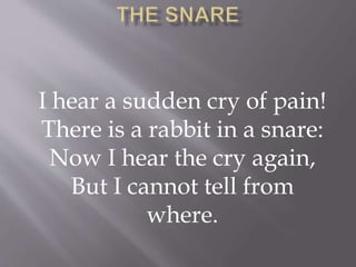 On the beach by Anne Ranasinghe | PPTX