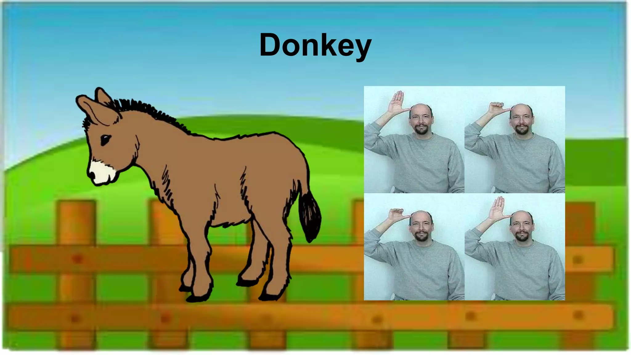 ASL On the farm | PPTX