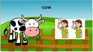 ASL On the farm | PPT