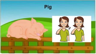 ASL On the farm | PPT