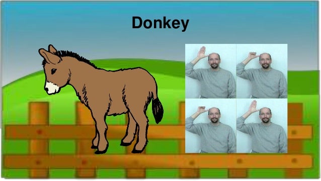 Download For Free 14+ Farm Animals In Asl - Digitrenz