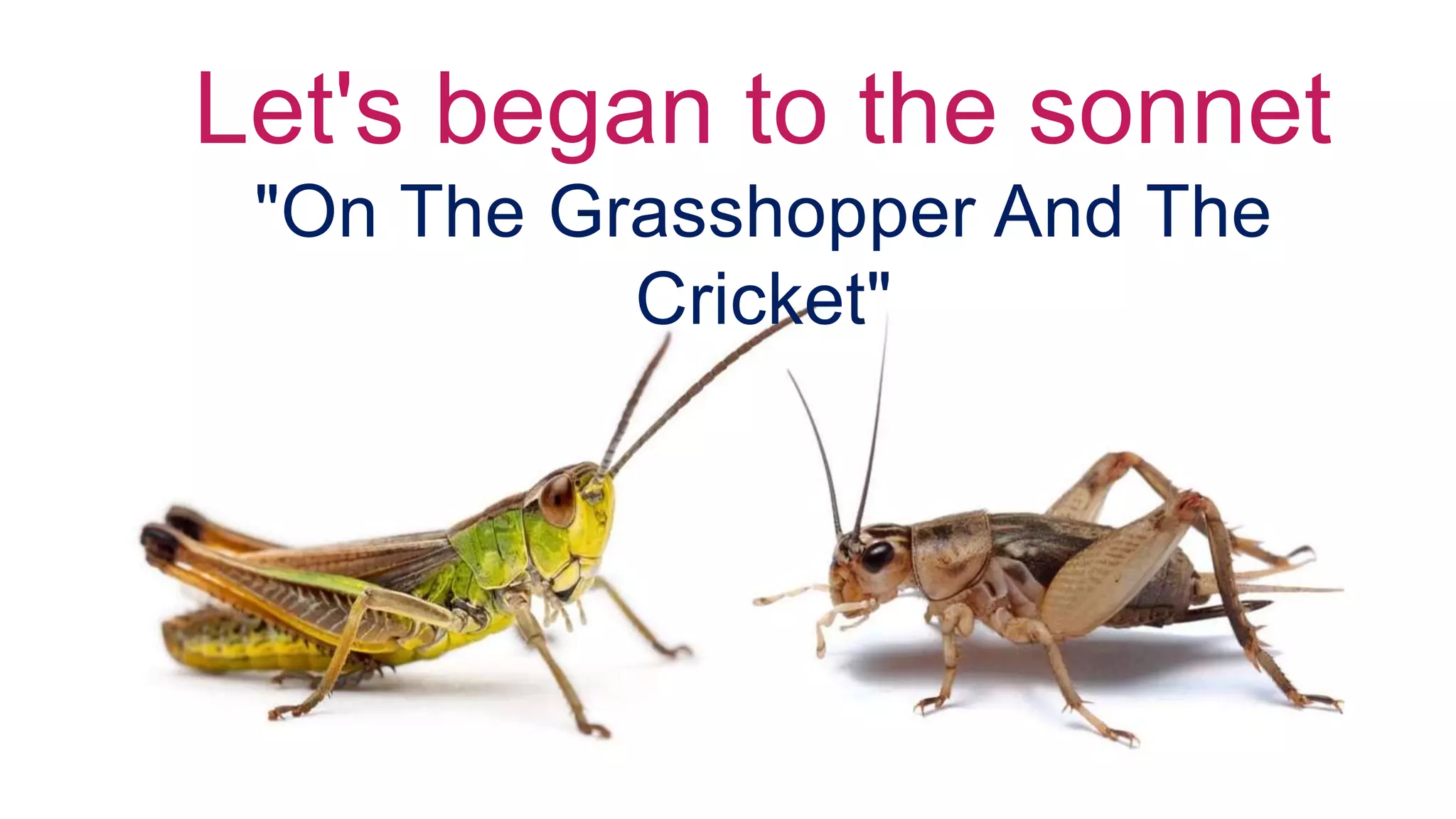On The Grasshopper And The Cricket .pptx