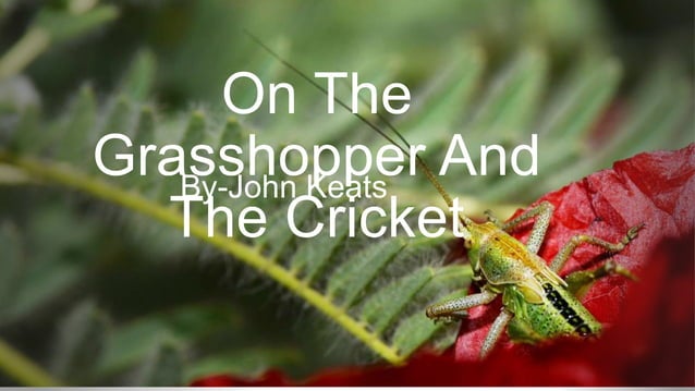 On The Grasshopper And The Cricket .pptx | Cricket | Sports