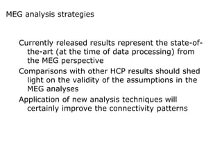 On the large scale of studying dynamics with MEG: Lessons learned from ...