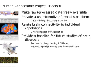 On the large scale of studying dynamics with MEG: Lessons learned from the Human Connectome ...