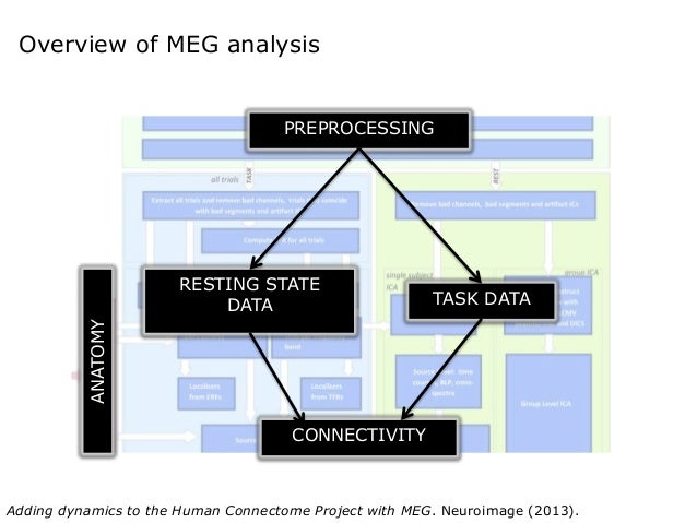 On the large scale of studying dynamics with MEG: Lessons learned fro…