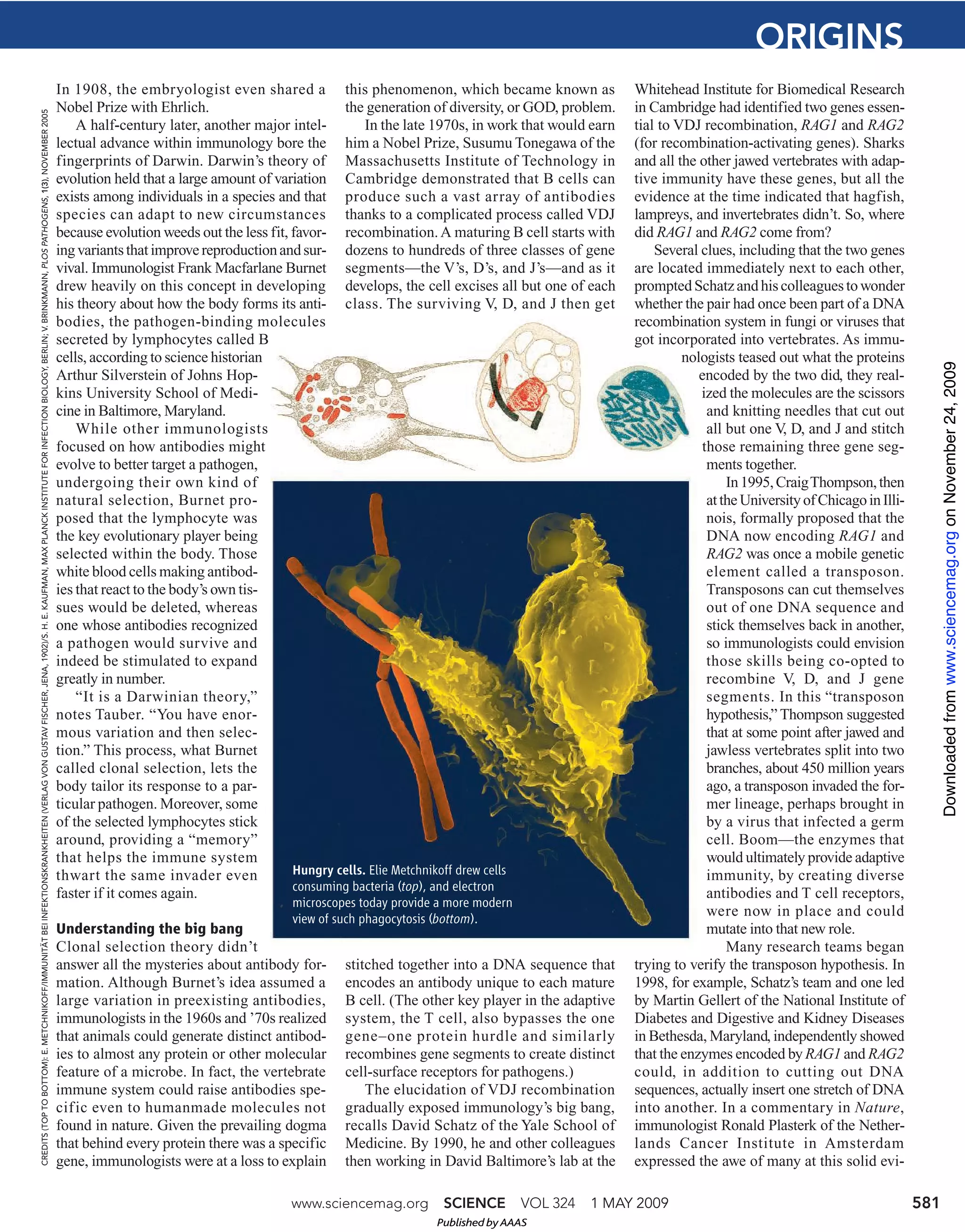 On The Origin Of Immune System | PDF