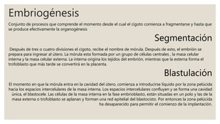 Ontogenia | PPTX