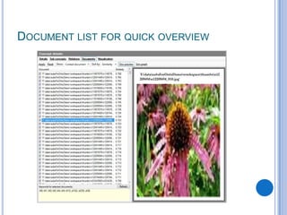 OntoGen Extension for Exploring Image Collections | PPT