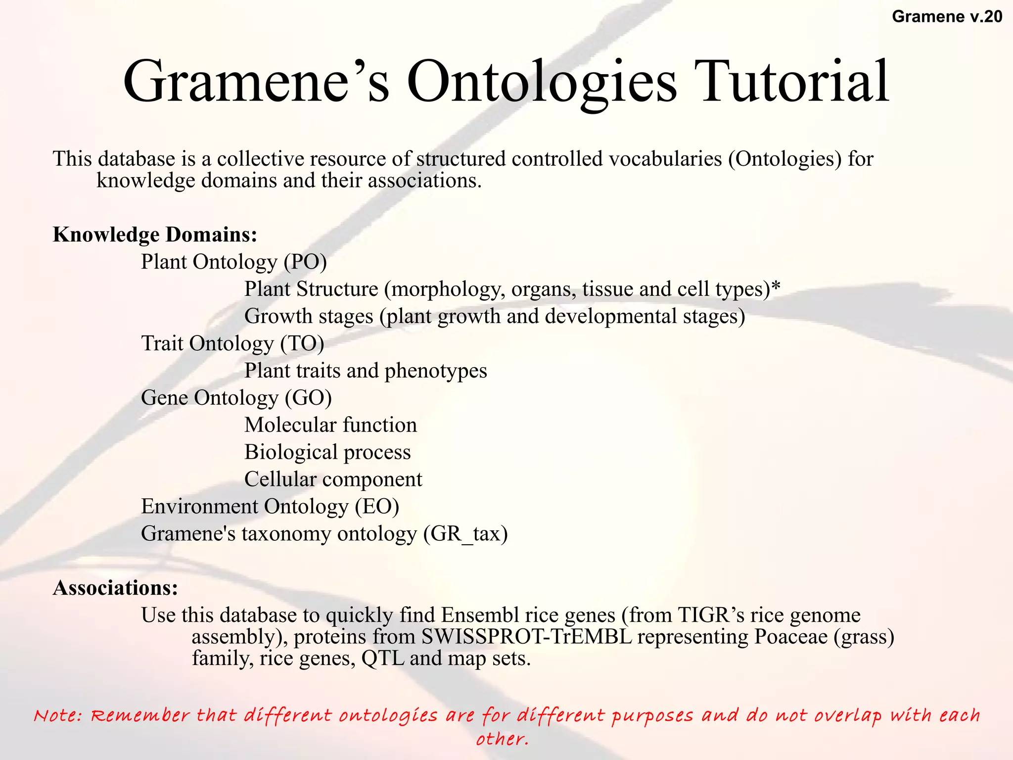 Ontologies gramene tutorial | PPT