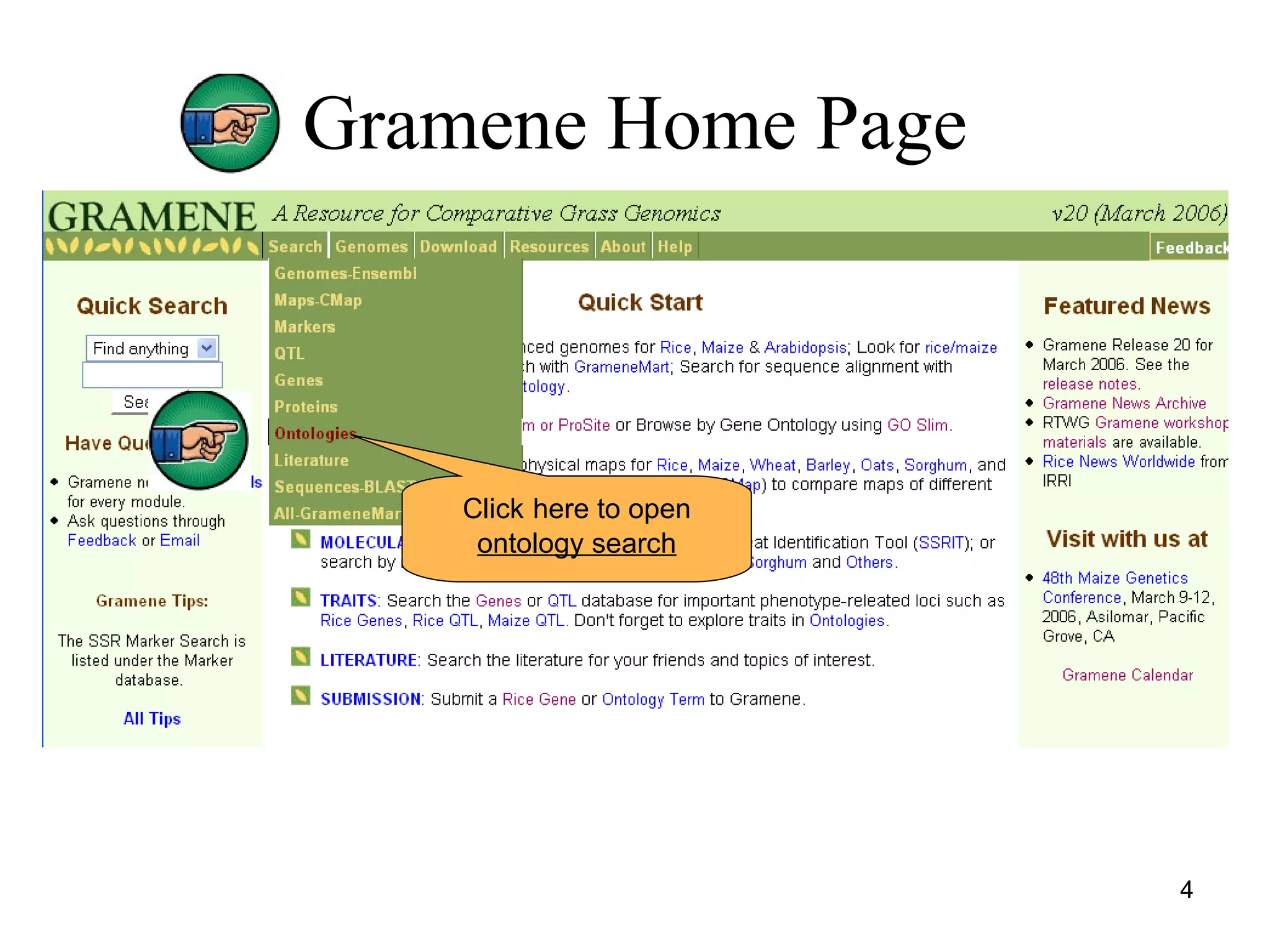 Ontologies gramene tutorial | PPT