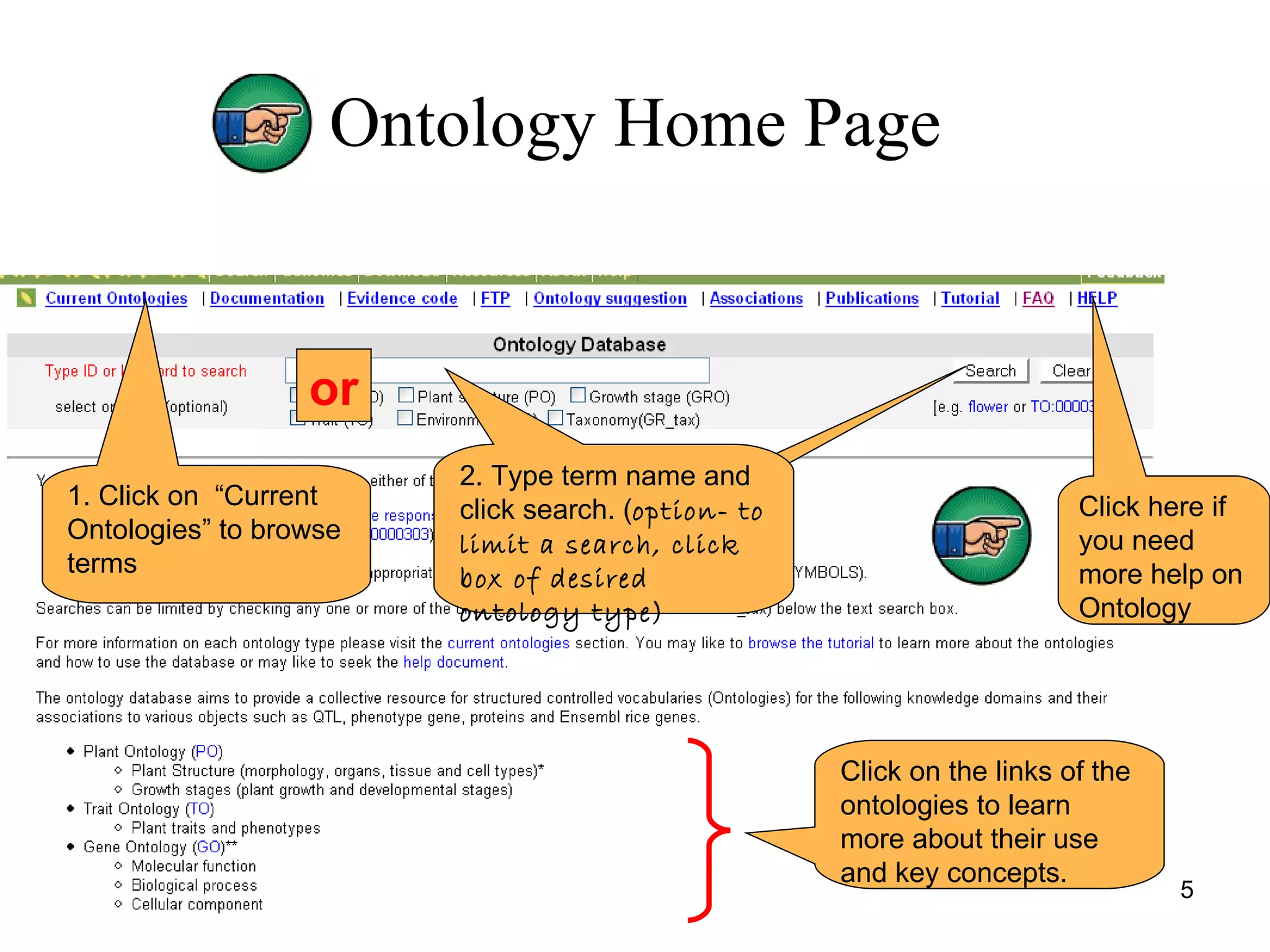 Ontologies gramene tutorial | PPT