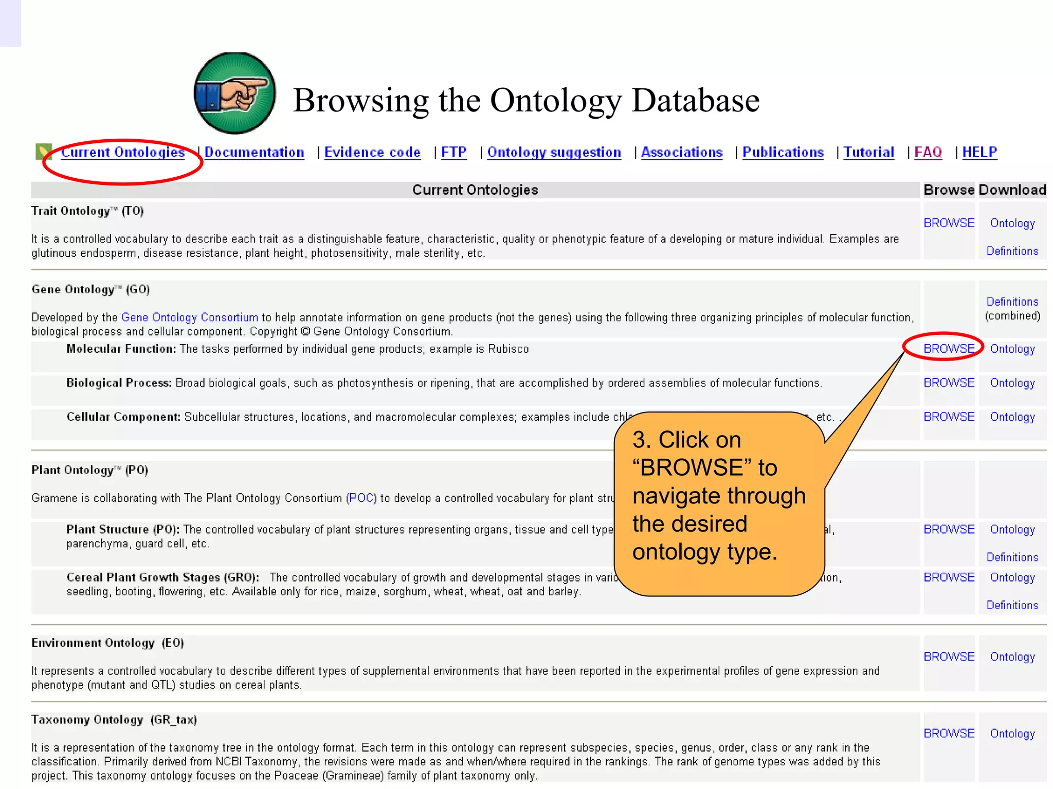 Ontologies gramene tutorial | PPT