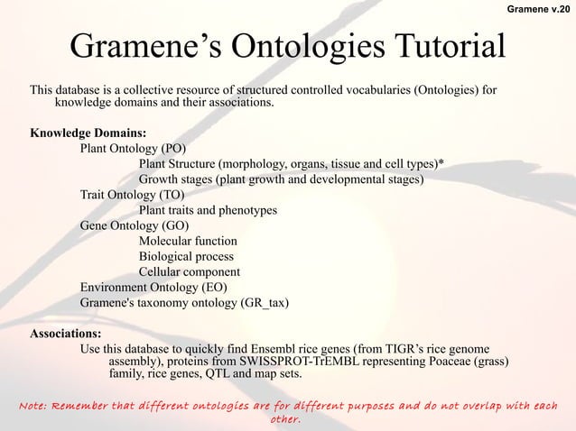Ontologies gramene tutorial | PPT