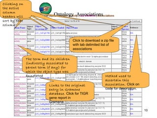 Ontologies gramene tutorial | PPT