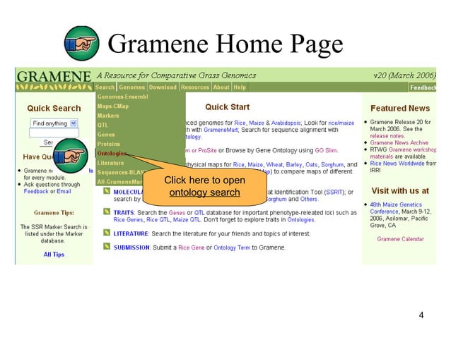 Ontologies gramene tutorial | PPT