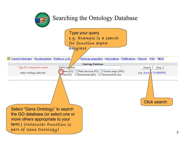 Ontologies gramene tutorial | PPT
