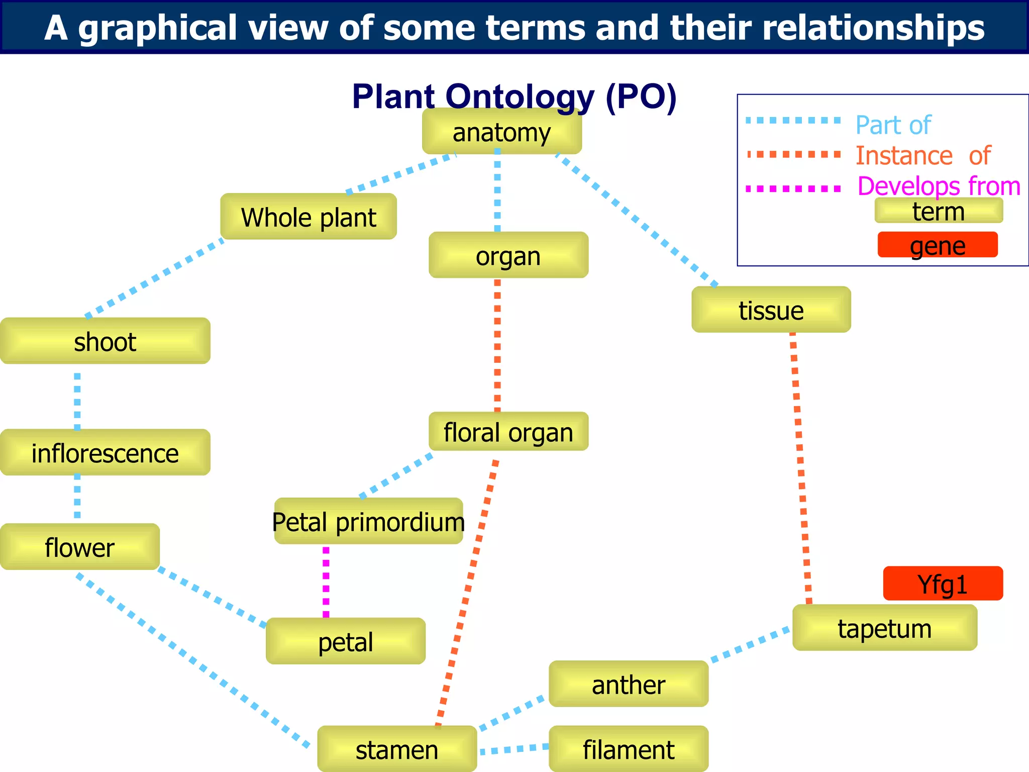 Ontology Development And Use For Efficient Information Input And Retrieval Ppt